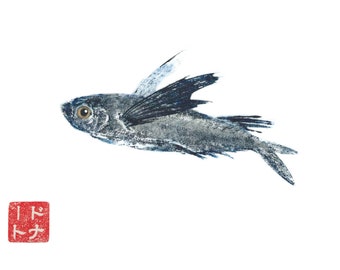 Flying Fish Print | Etsy