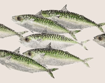 Bonita Fish Print - Etsy