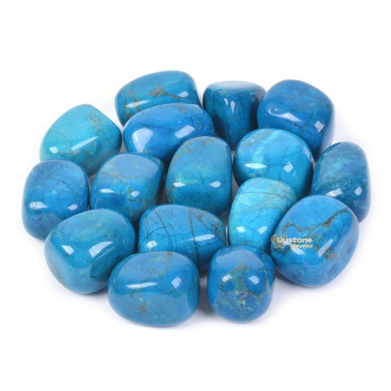 1/2LB Dyed Turquoise Howlite Tumbled Stone Specimen Collection - Etsy