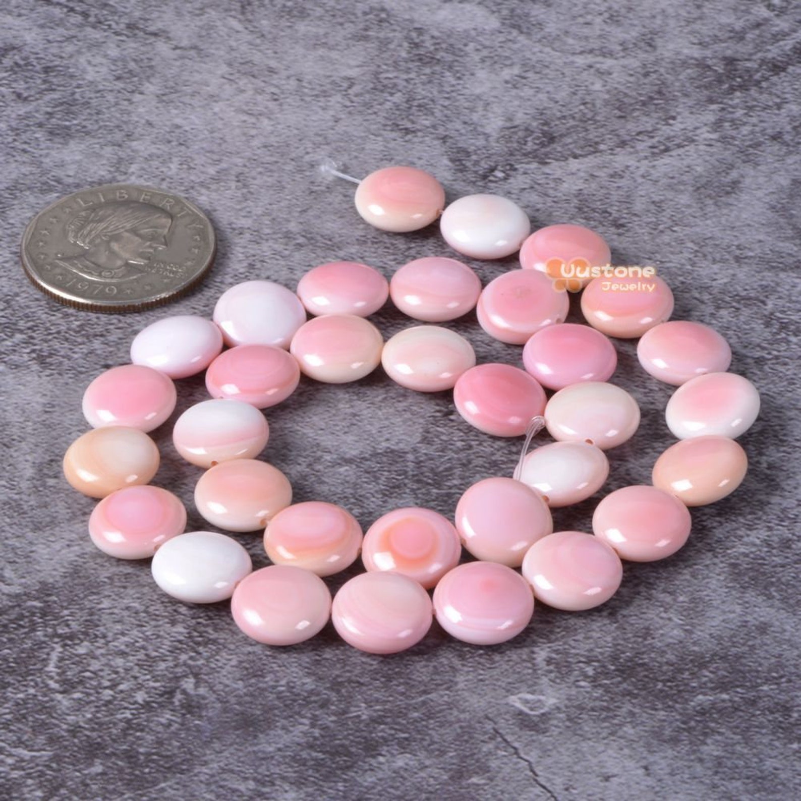 02008 12mm Natural US Pink Queen Conch shell charm coin disc | Etsy