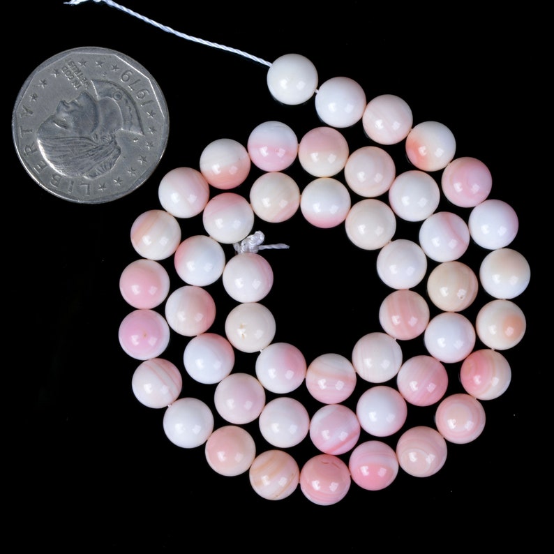 Pink Queen Conch Shell Round Ball Loose Beads DIY Jewelry | Etsy
