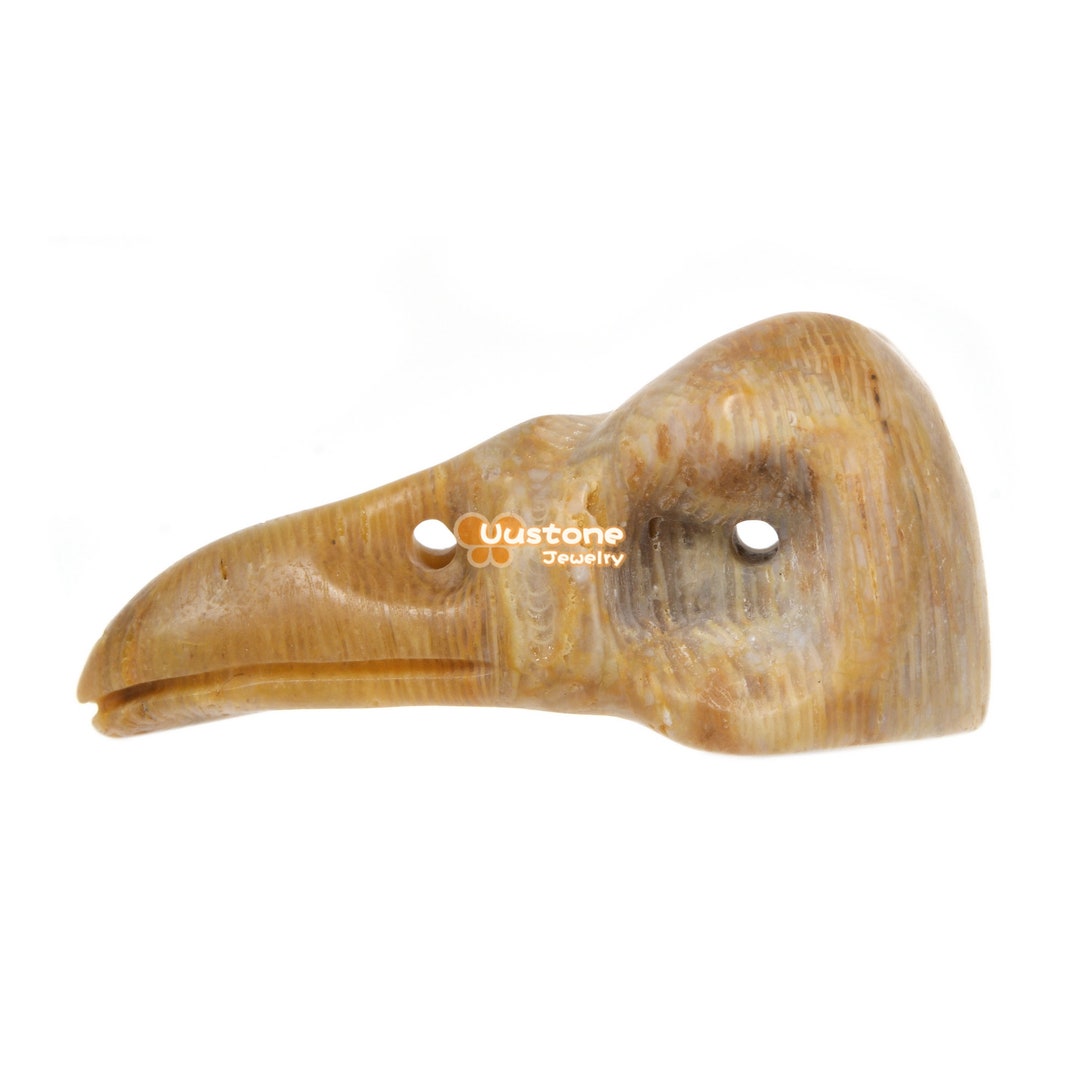 Coral Fossil Raven Skull 47mm Bird Crow Head DIY Jewelry Making Pendant ...