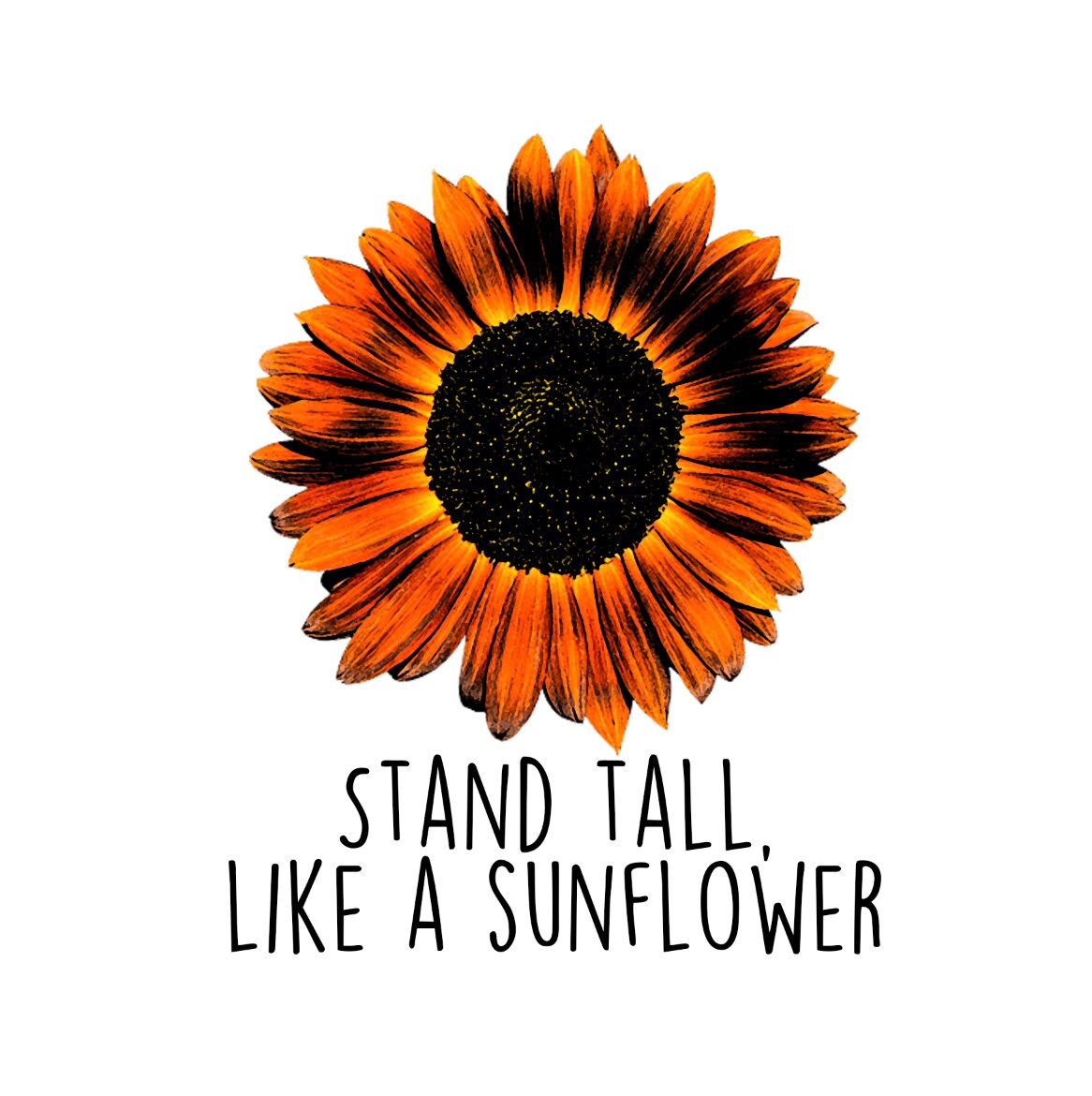 Stand Tall Like a Sunflower Digital Download Graphic PNG Graphic for ...