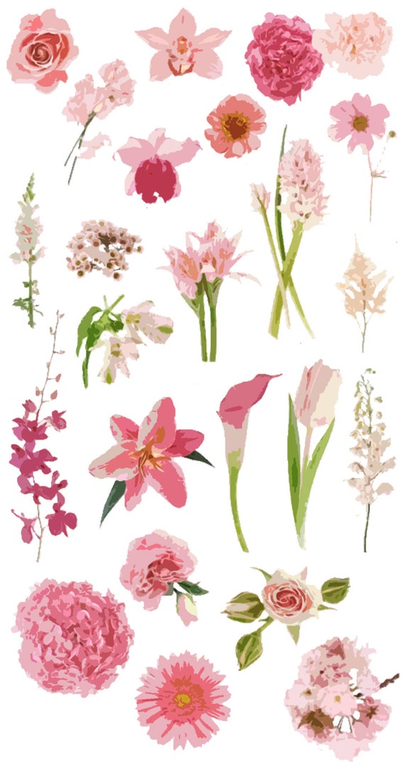 Multiple Flower Watercolor Pink Flowers/individual PNG | Etsy