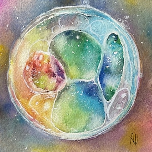 Embryo Painting Original Watercolor in Rainbow Colour Miniature Miracle ...