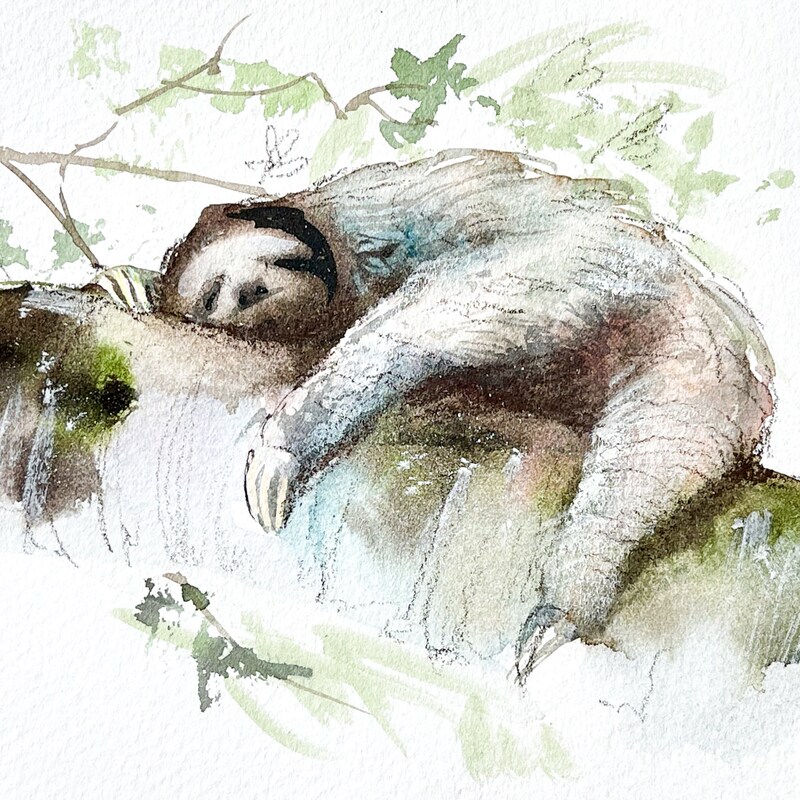 Sloth Painting - Etsy
