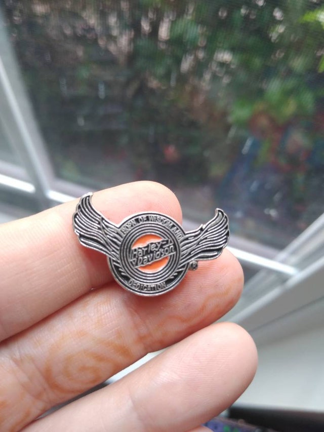 TheCuriousSpider - Etsy