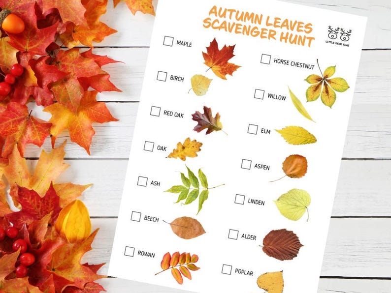 Autumn Leaf Scavenger Hunt for Kids | Nature Walk Printable (PDF) - Etsy