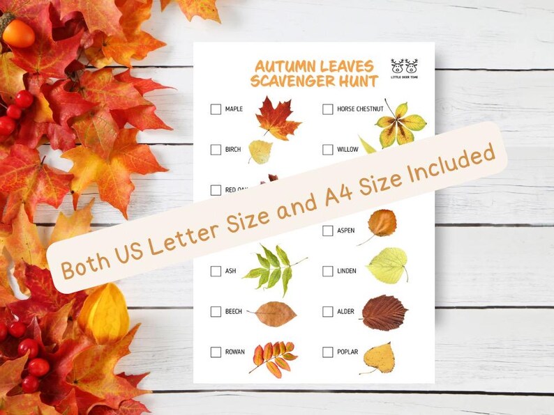 Autumn Leaf Scavenger Hunt for Kids | Nature Walk Printable (PDF) - Etsy