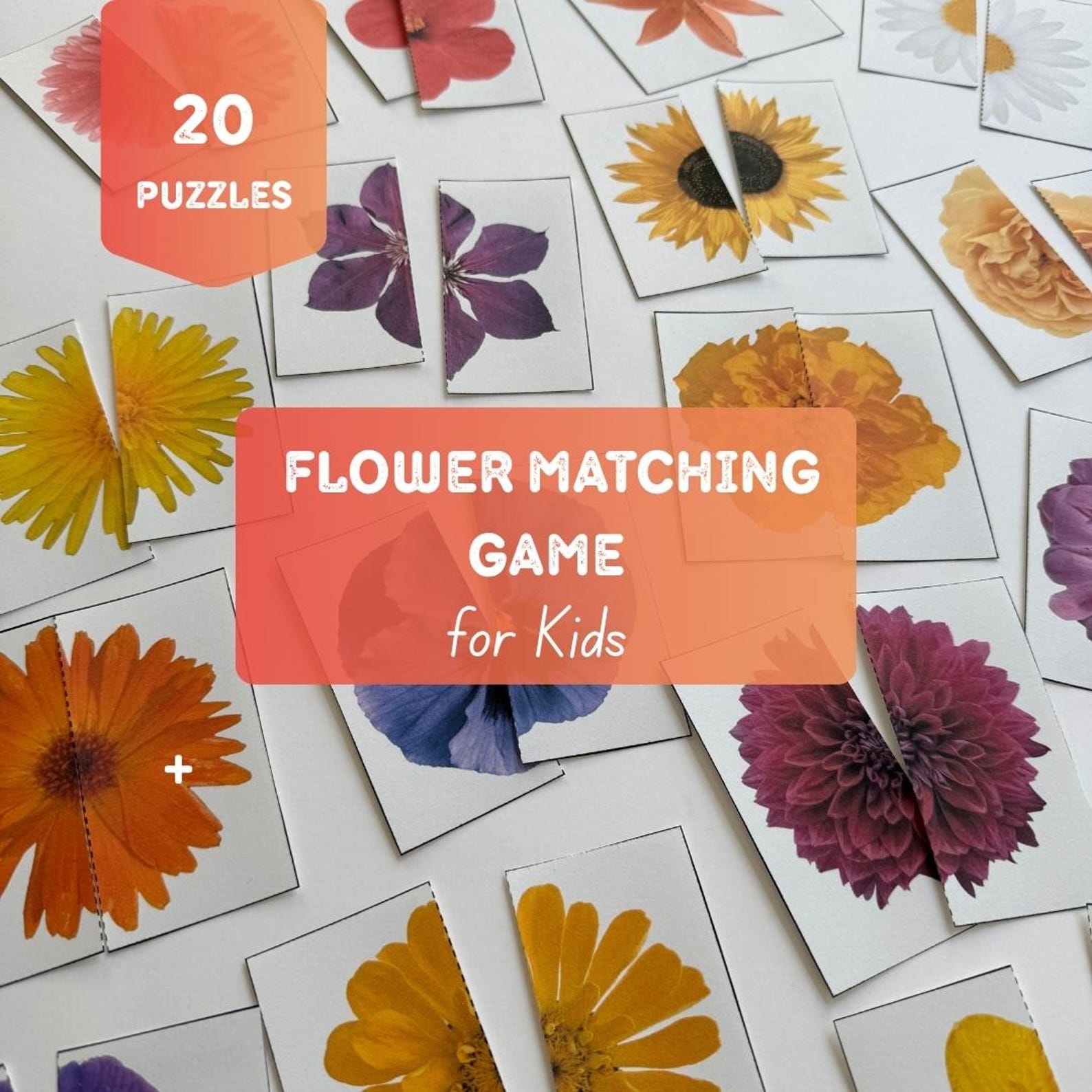 Real Flower Matching Game – Printable Nature Puzzle Cards for Kids ...