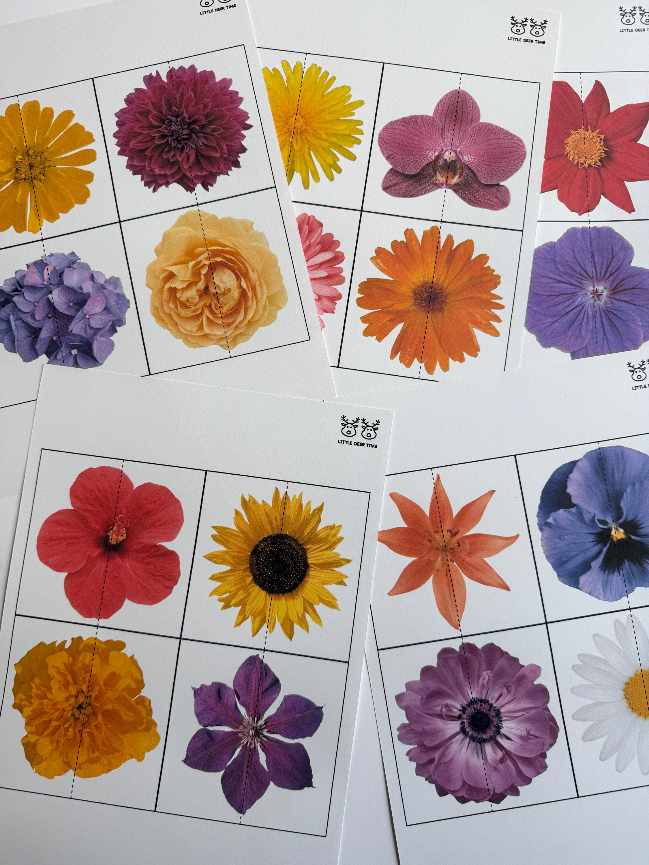 Real Flower Matching Game – Printable Nature Puzzle Cards for Kids ...