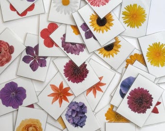 Real Flower Matching Game – Printable Nature Puzzle Cards for Kids ...
