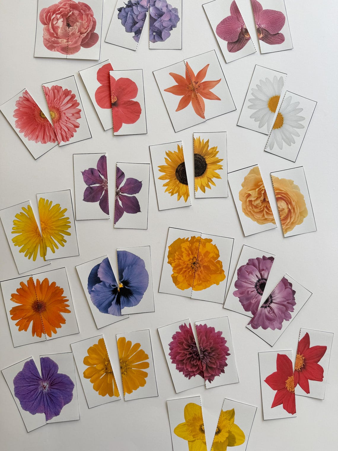 Real Flower Matching Game – Printable Nature Puzzle Cards for Kids ...