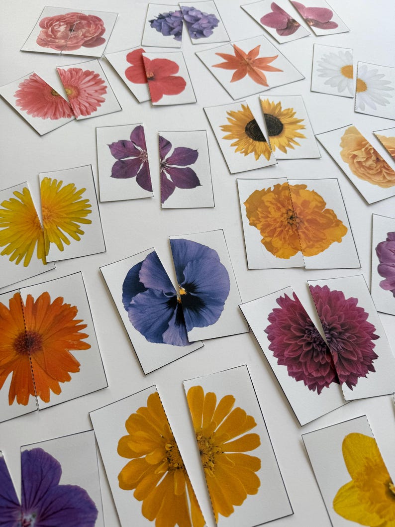 Real Flower Matching Game – Printable Nature Puzzle Cards for Kids ...