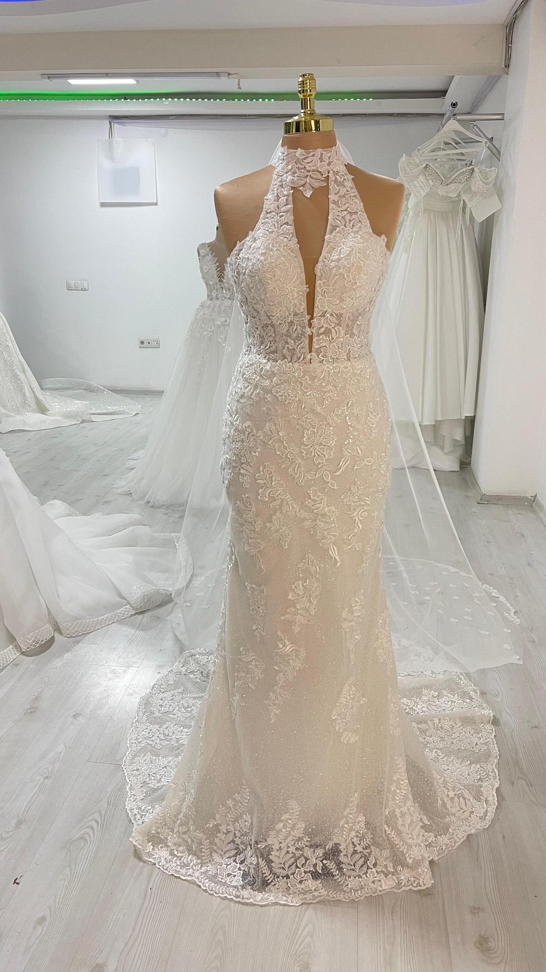 Lace Basque Waist Wedding Gown, Luxury Mermaid Wedding Dress, Lace and ...