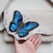 Morpho Butterfly Bag Blue Butterfly Bag Painted Butterfly Purse ...