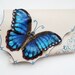 Blue Butterfly Bag Morpho Butterfly Clutch Painted Butterfly Purse ...