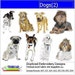 Machine Embroidery Design Set - Dogs(2) - 8 Designs - 9 Formats ...