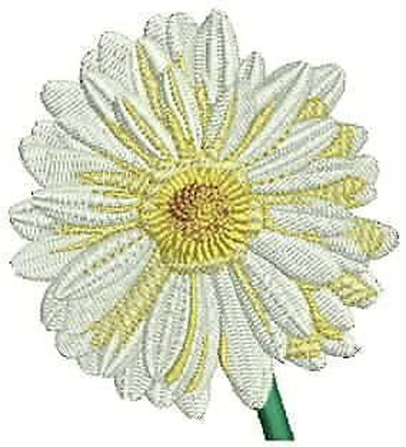 Machine Embroidery Design Set Popular Flowers1 13 Designs - Etsy