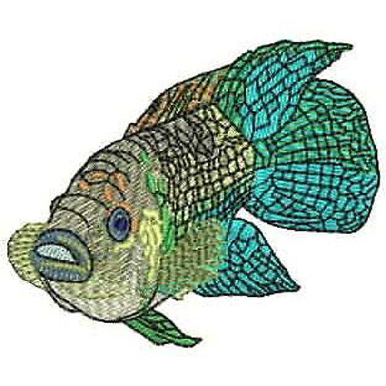 Machine Embroidery Design Set Tropical Fish1 18 Designs - Etsy