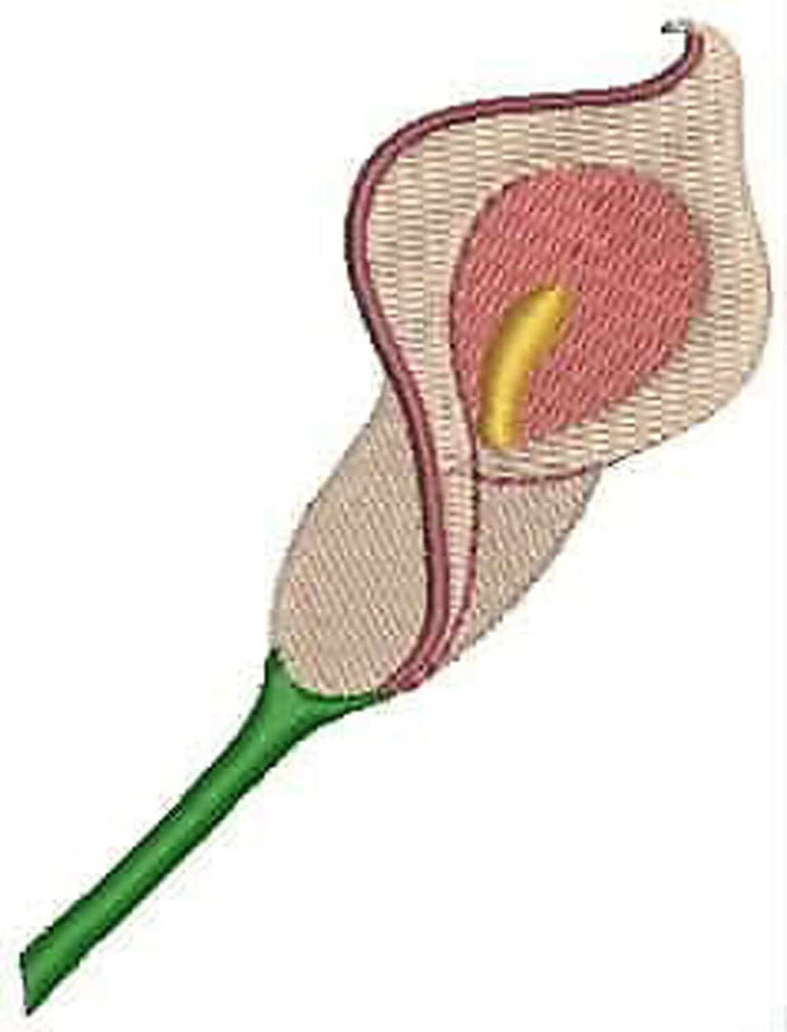 Machine Embroidery Design Set Popular Flowers1 13 Designs | Etsy