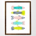 Fish Print. Digital Download. Bathroom Print, Coastal Print, Kitchen ...