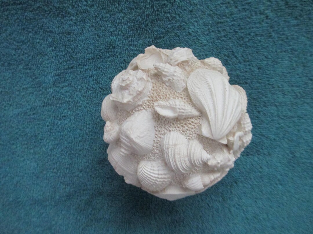 Nautical Sea Shell Sphere / Orb / Ball Vintage White 4 1/4 " - Etsy