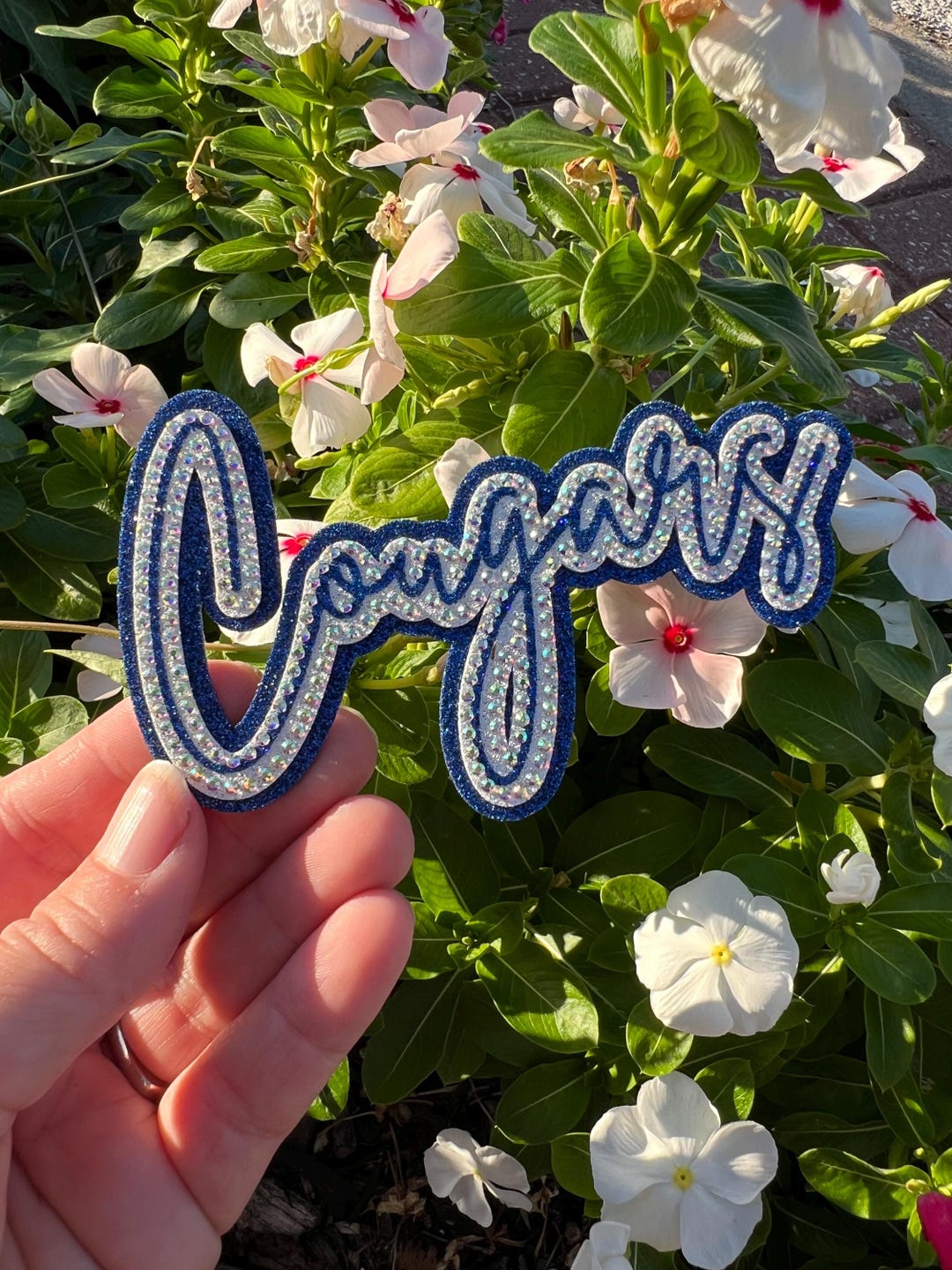 Cougars *3D Glitter Mascot Rhinestone Hat Patch* Iron-on Adhesive - Etsy