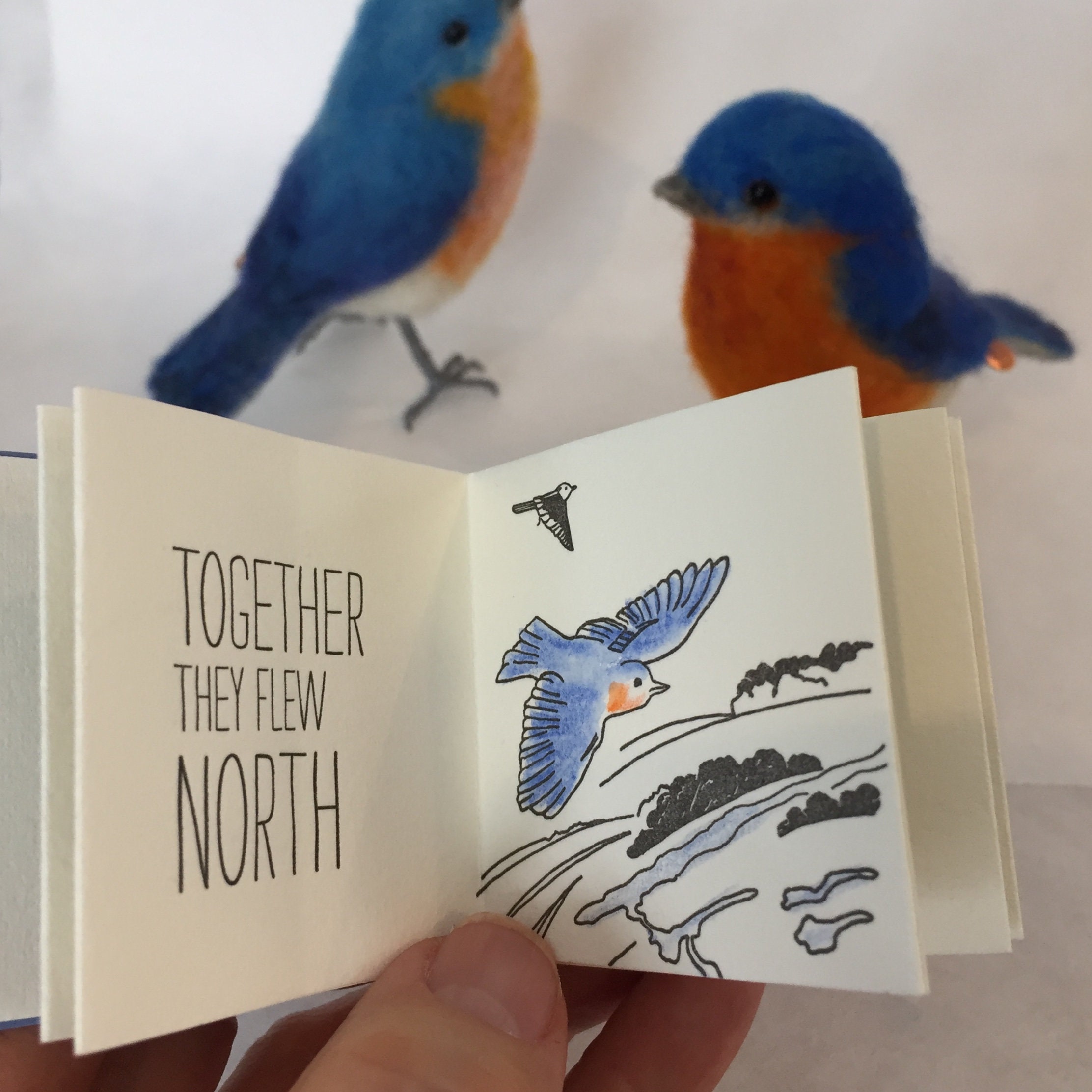 A Bluebird Story, Tiny Letterpress Book, Hand-colored - Etsy