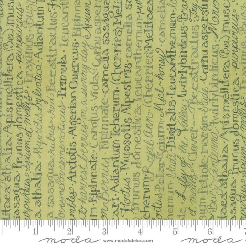 Moda Garden Notes - Etsy