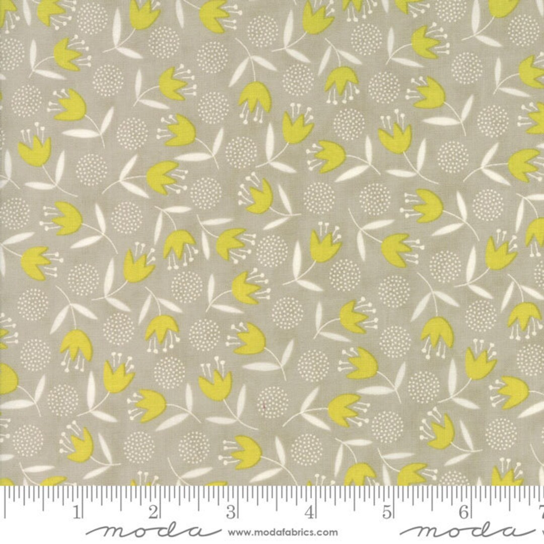 Big Sky 16703 12 by Annie Brady for Moda Fabrics - by the Half-yard - Etsy