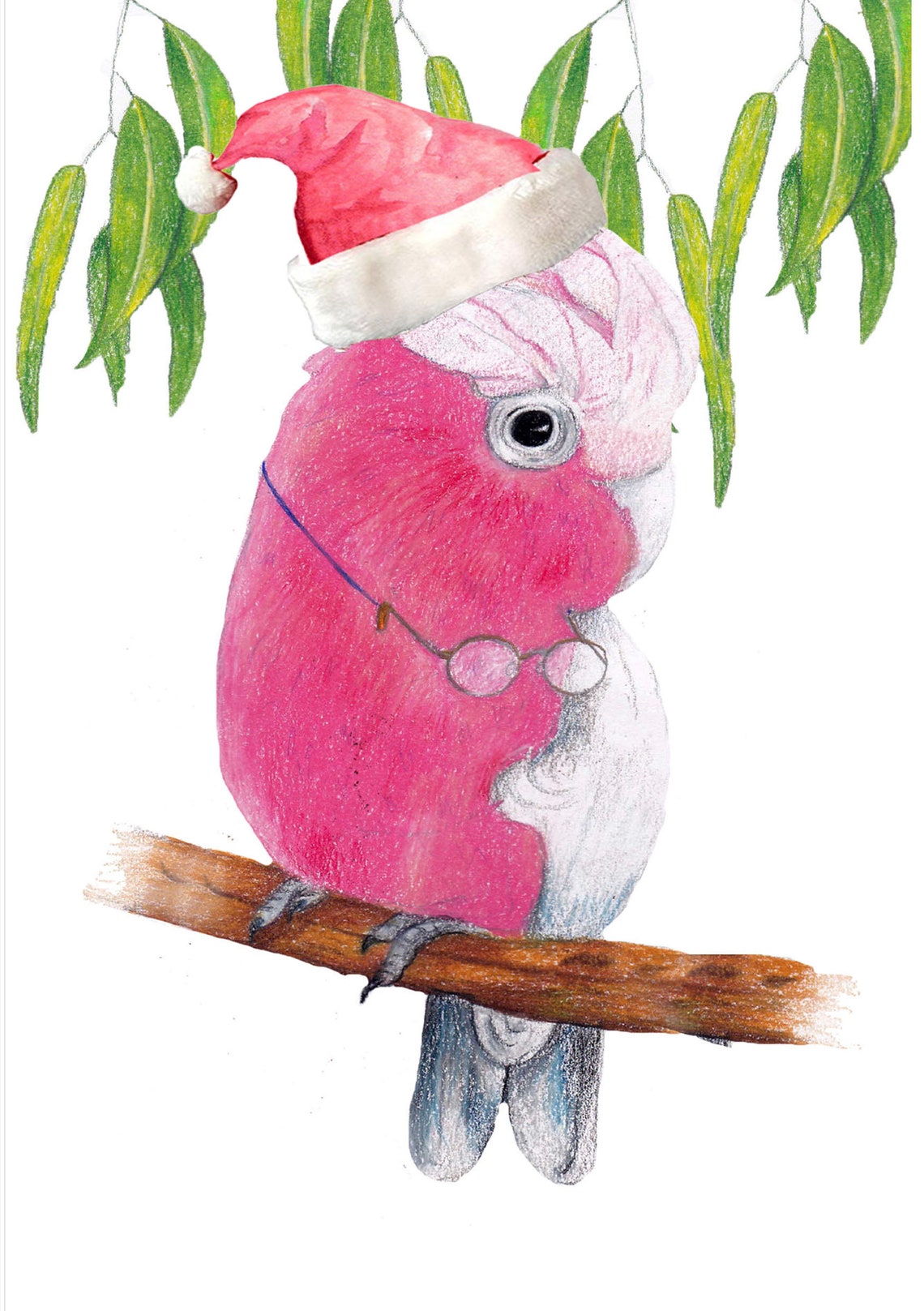 Australian Galah Christmas Card - Etsy