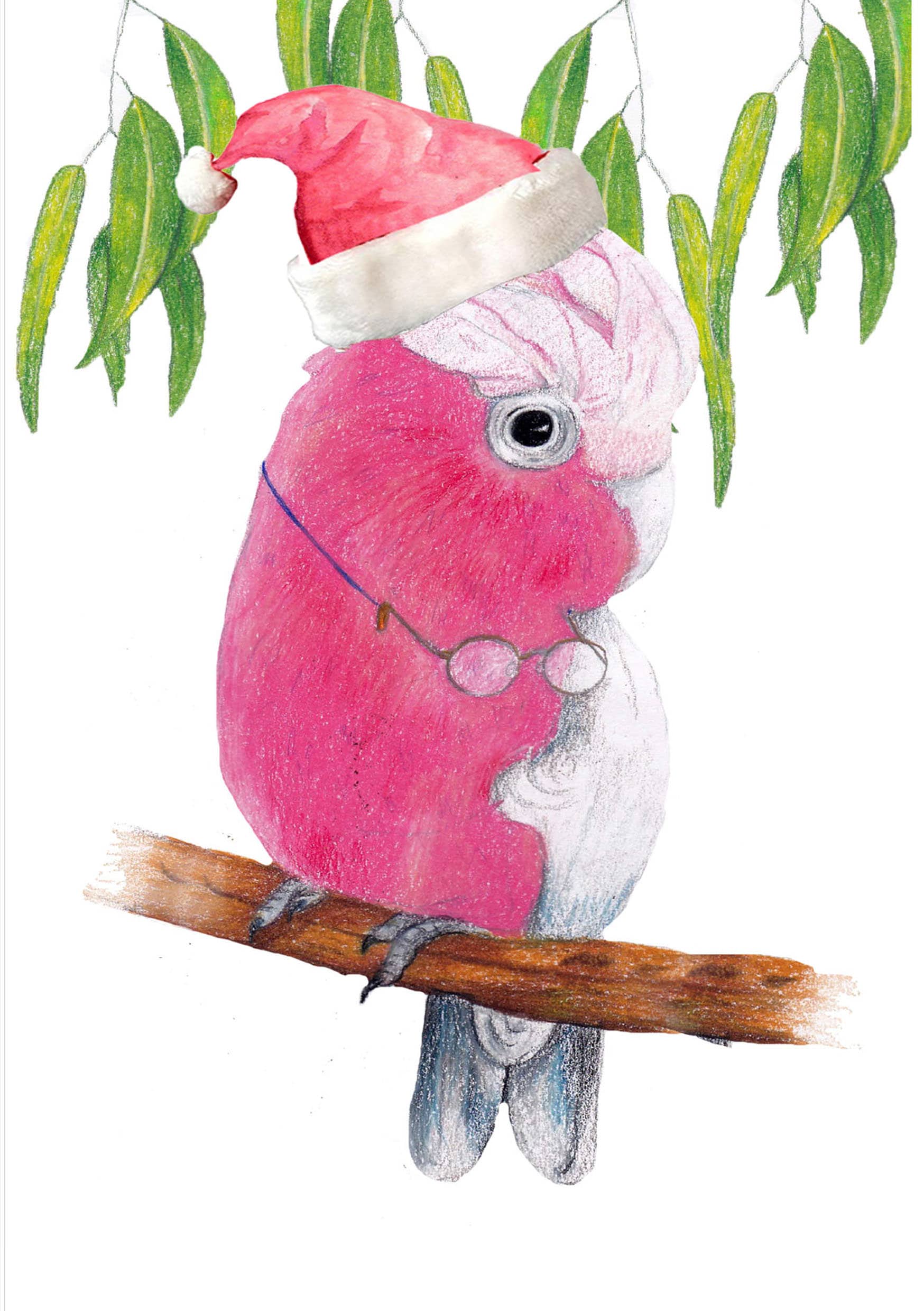 Australian Galah Christmas Card - Etsy Australia