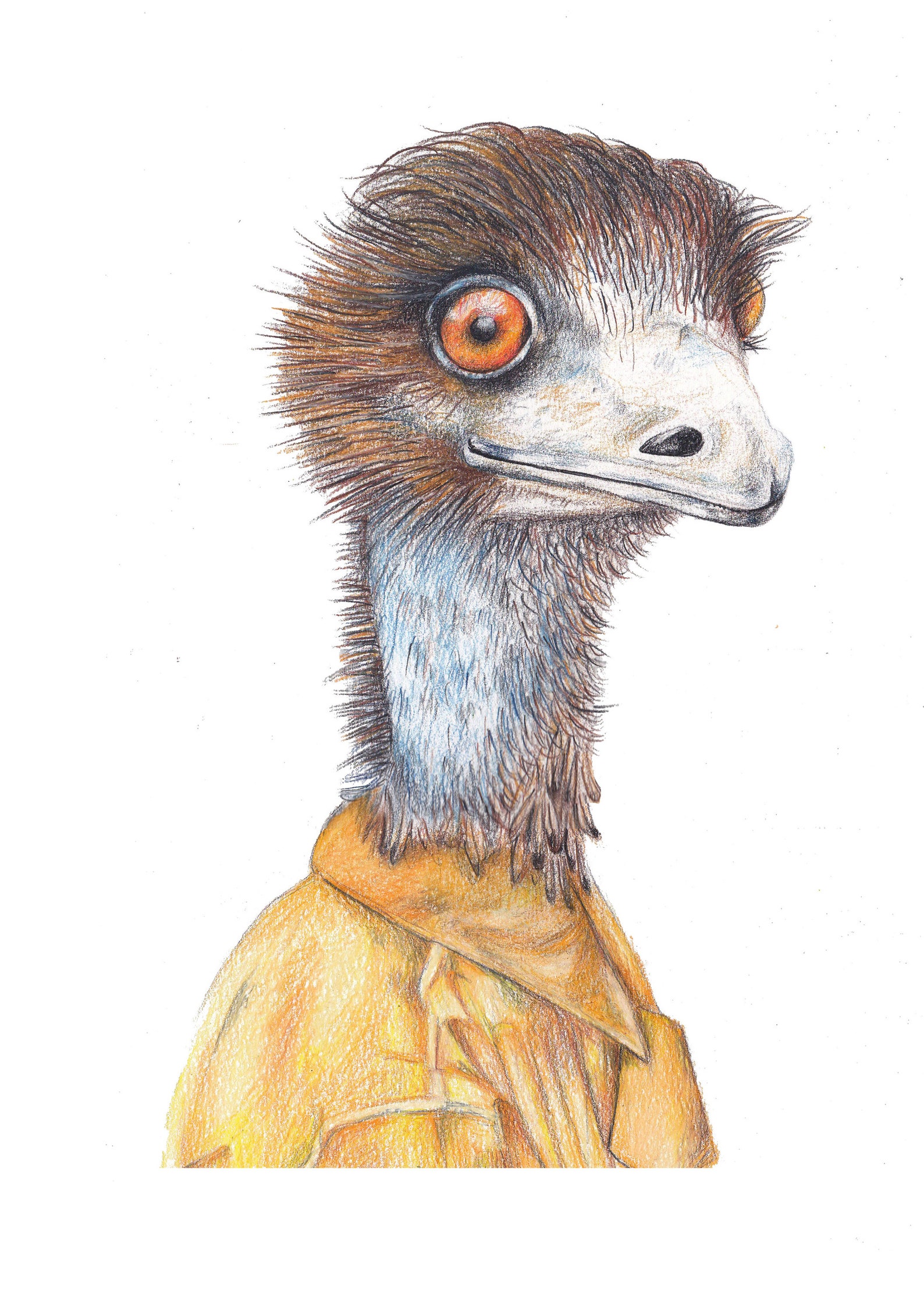 Ed the Emu Greeting Card - Etsy