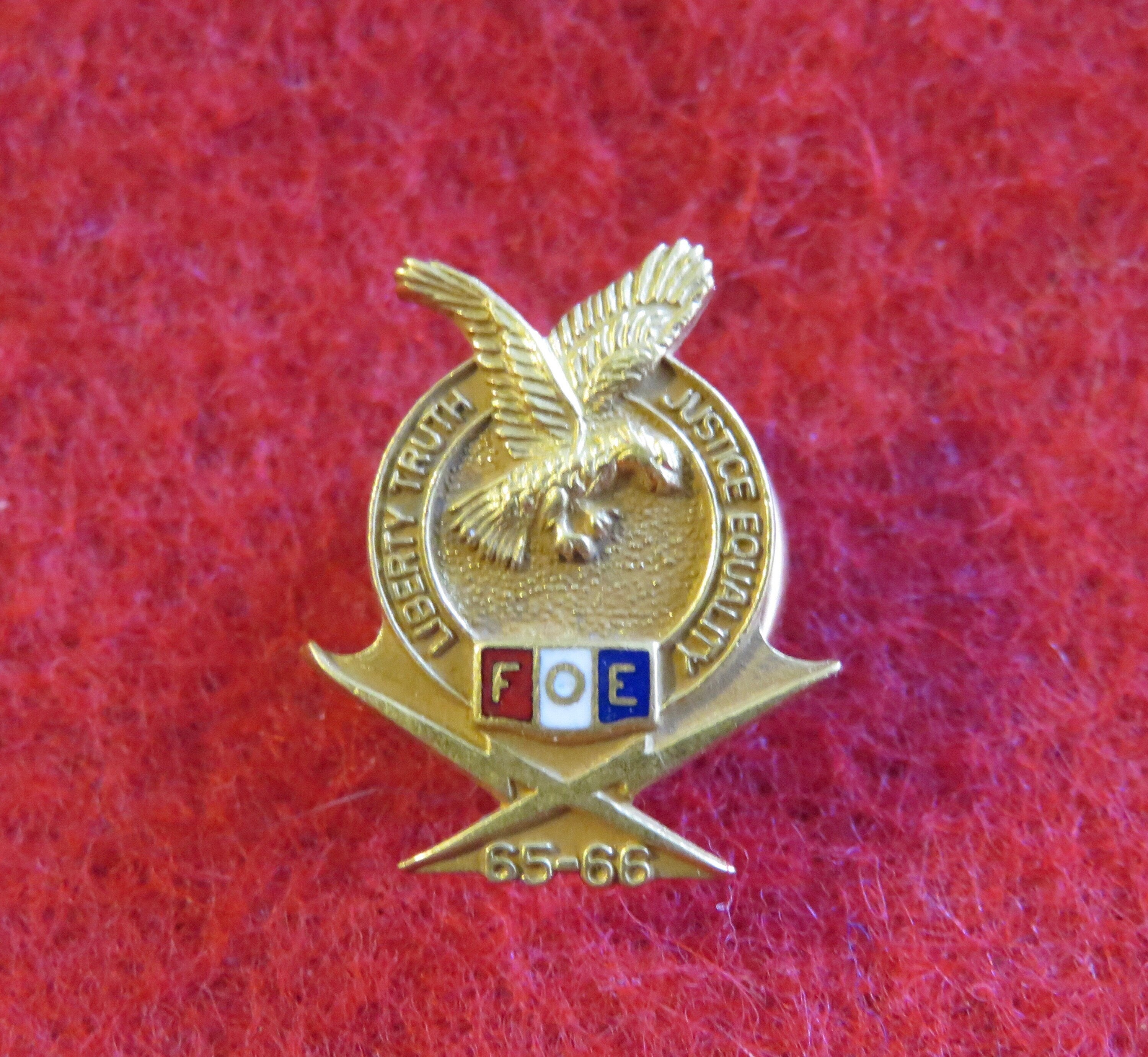 Fraternal Order Of Eagles Pin