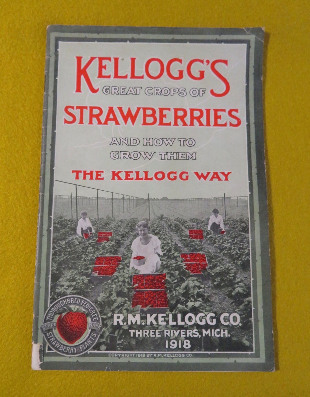 1918 Kellogg's Strawberries Booklet: Vintage Gardening Guide - Etsy