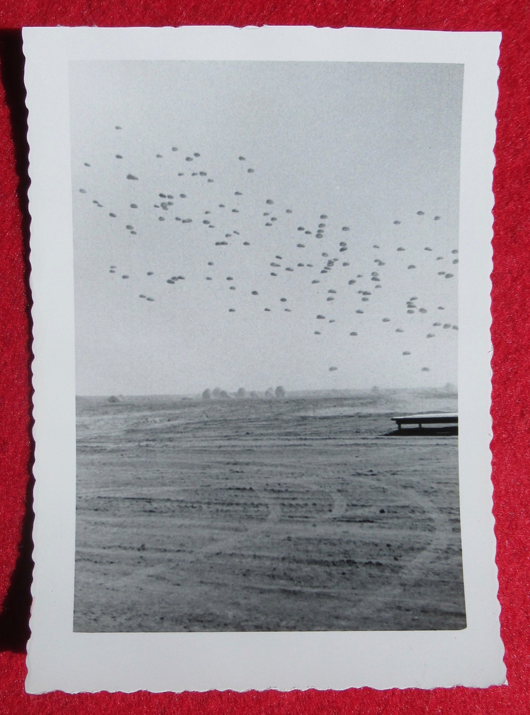 11th Airborne - Massive US Army Parachute Drop Snapshot Photo ...