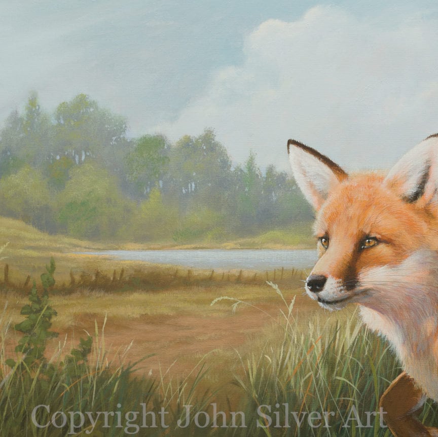 Realist Fox Portrait. Original Detailed Fine Art Painting by UK Artist ...