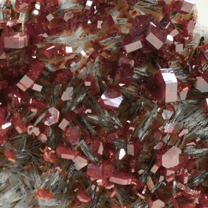 6.10" Outstanding Red Gem VANADINITE Crystals on BARITE Mibladen ...