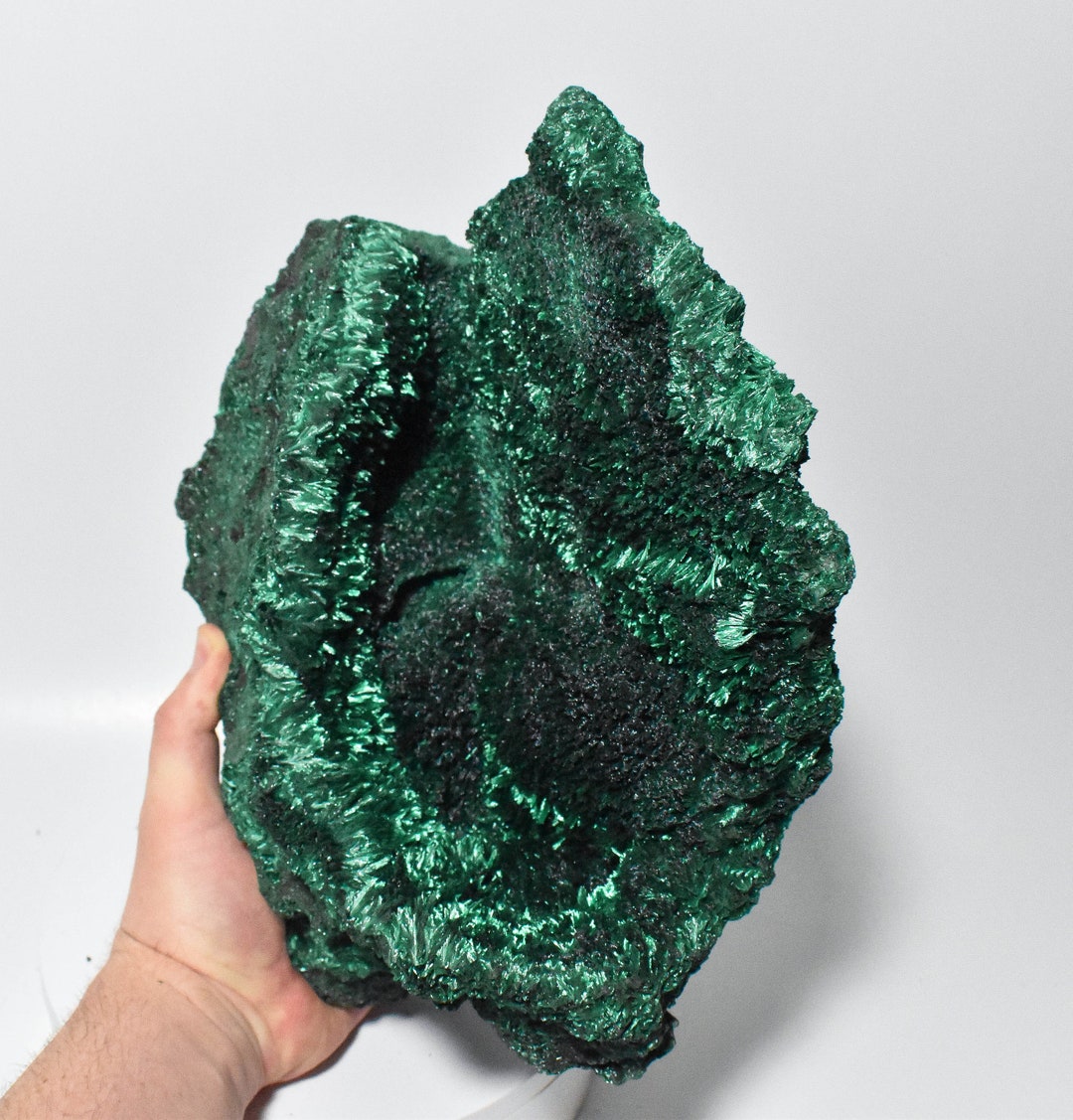 10.82" Shimmering Chatoyant Fibrous MALACHITE GEODE Mindingi Mine ...
