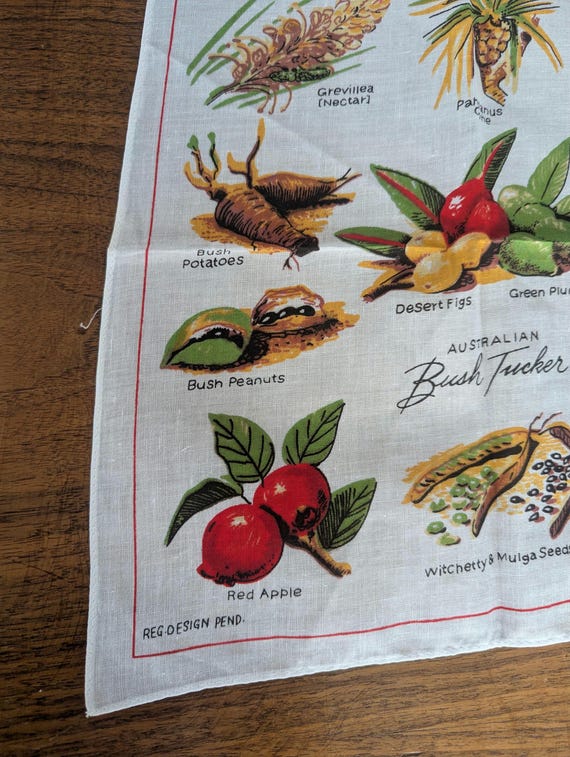 Vintage 1960s Australian Bush Tucker Food Heil Handke… - Gem