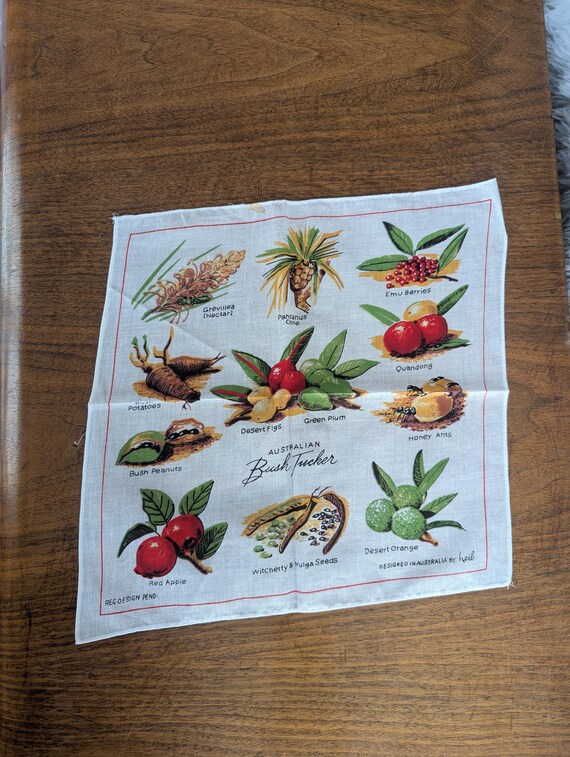 Vintage 1960s Australian Bush Tucker Food Heil Handke… - Gem