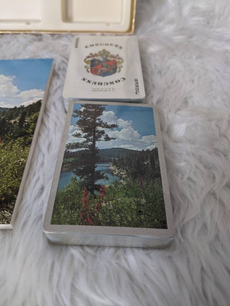 Vintage 1970s Congress Bridge Set by International Playing Card Company ...
