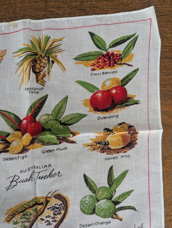 Vintage 1960s Australian Bush Tucker Food Heil Handke… - Gem