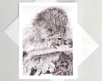 Porcupine Woodland Stationery Note Cards Set of 10 With Matching ...
