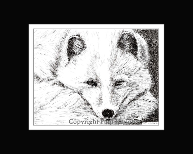 Arctic Fox Pen and Ink Print - Etsy