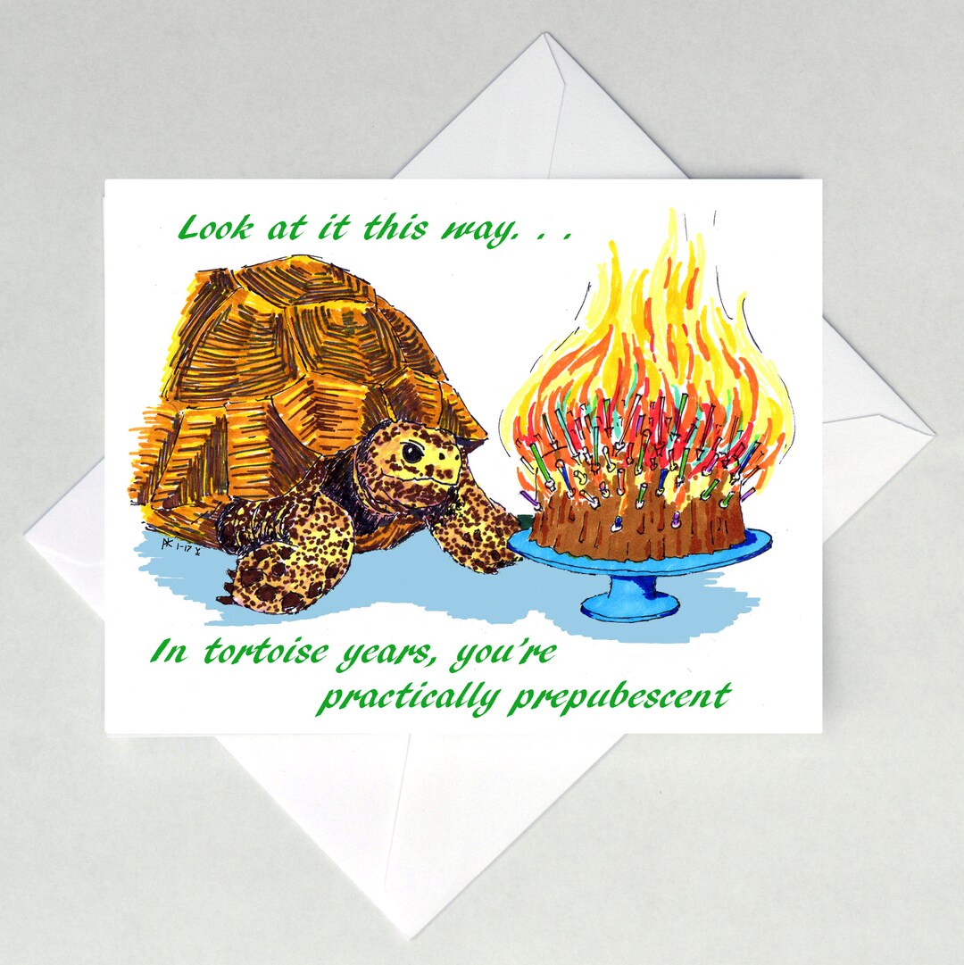 Tortoise Birthday Cards - Etsy