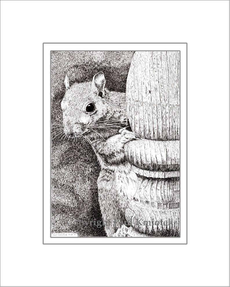 Squirrel Pen and Ink Print - Etsy
