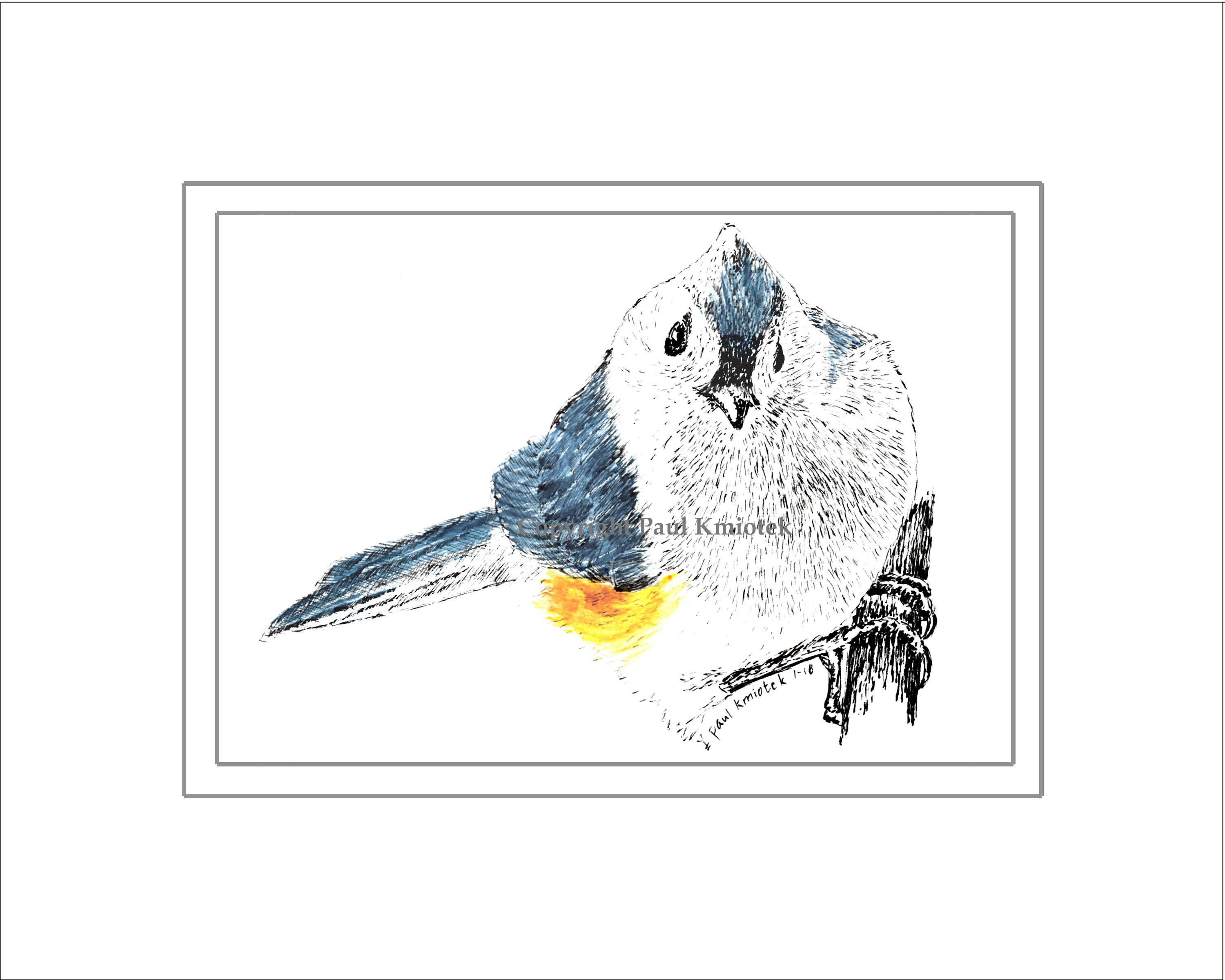 Titmouse Pen and Ink Print - Etsy