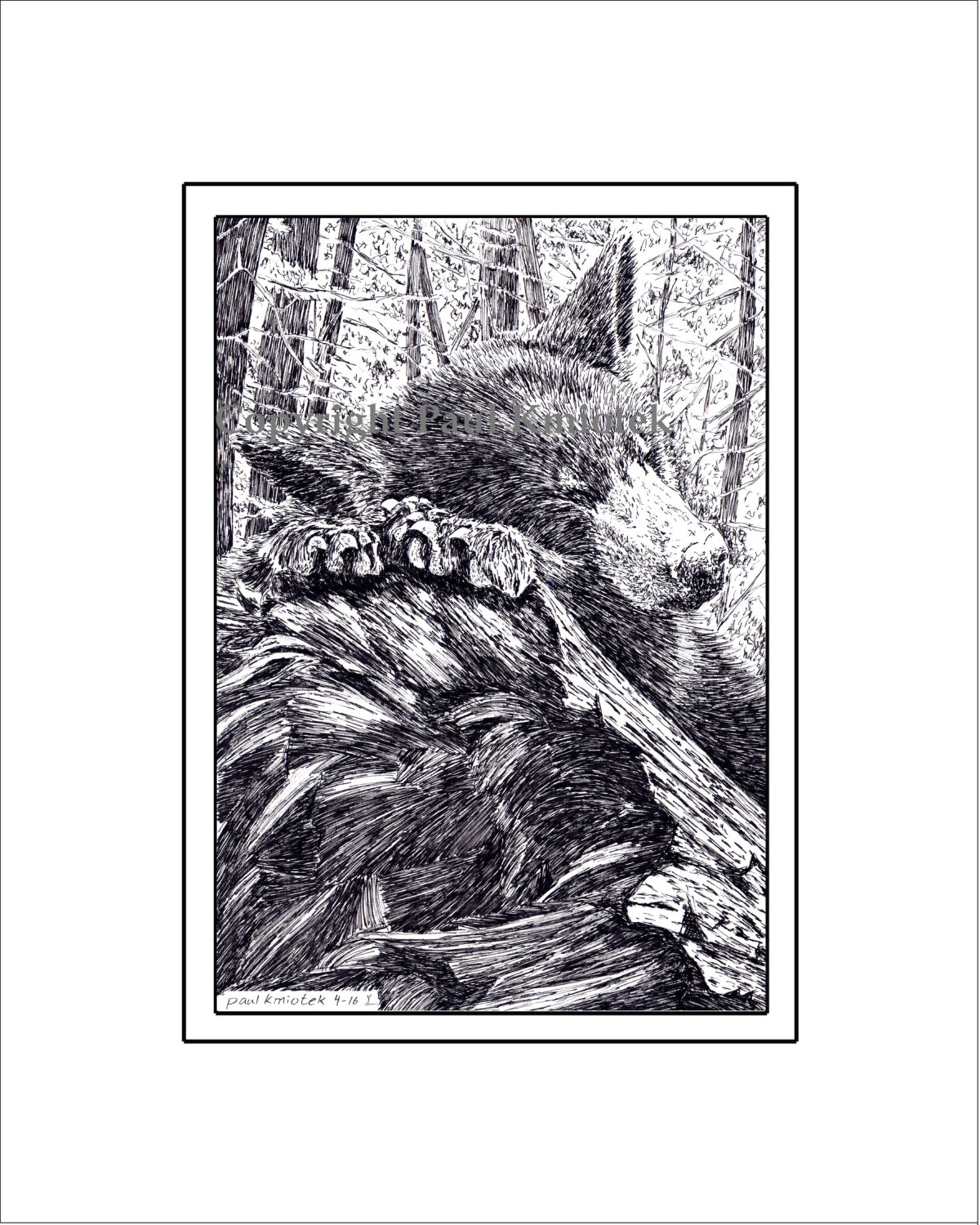 Nap Time Pen and Ink Print, Bear Cub - Etsy